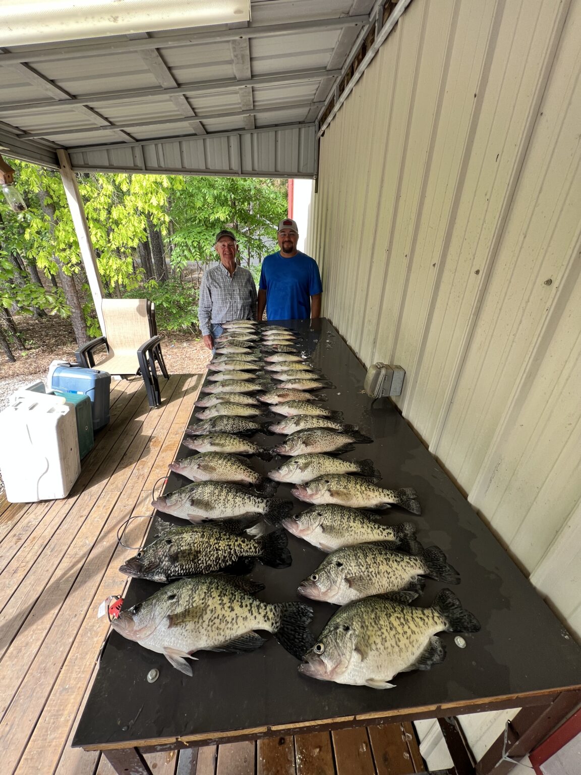 KY Lake Crappie Fishing - Fishing Reports