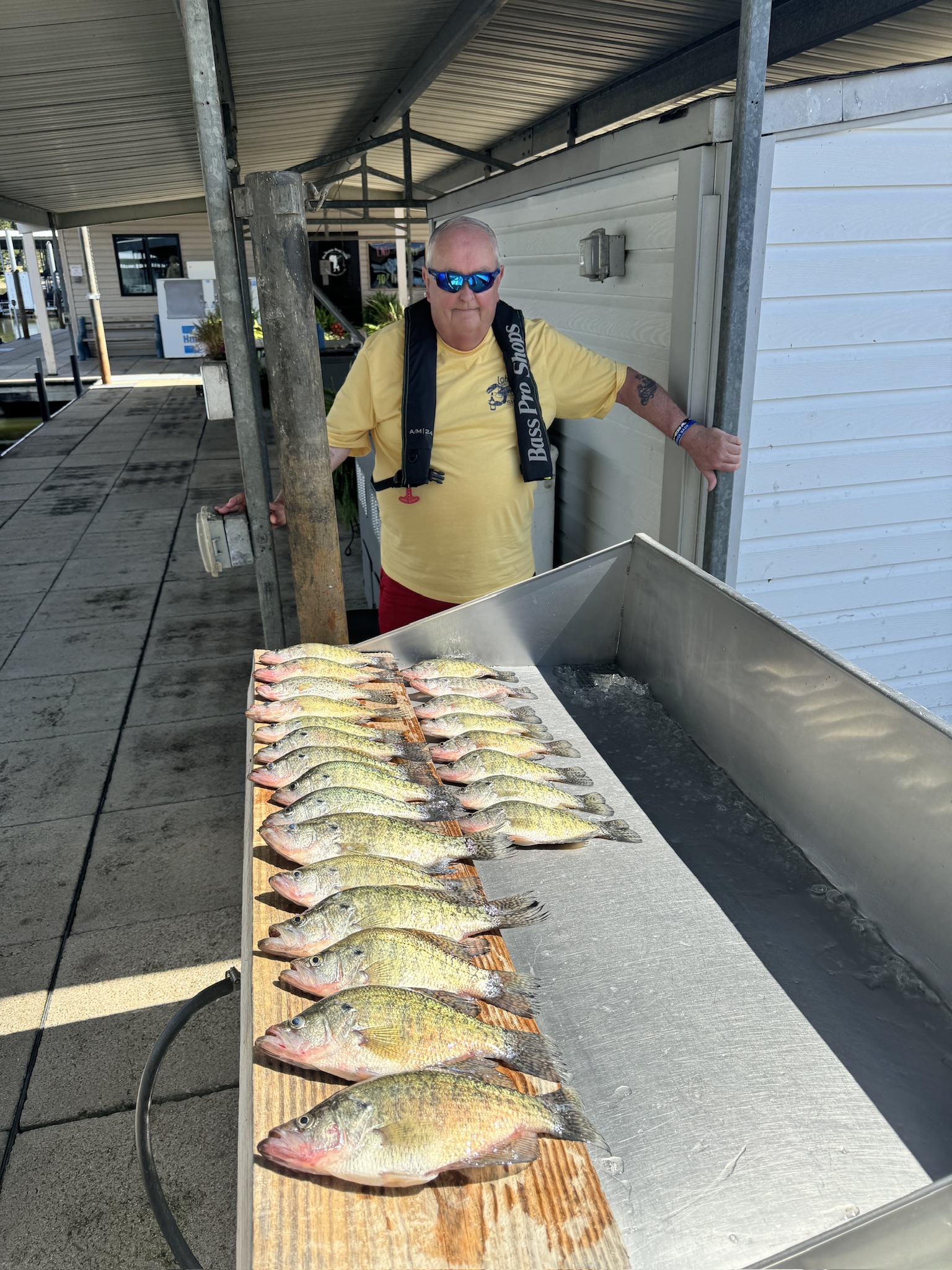 KY Lake Crappie Fishing - Fishing Reports