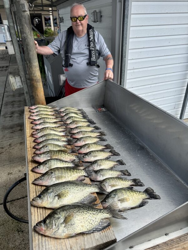 KY Lake Crappie Fishing - Fishing Reports