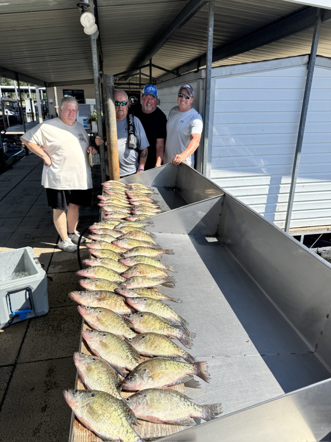 KY Lake Crappie Fishing - Fishing Reports